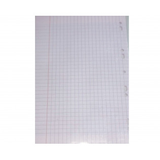 Feuille mobile - A4 - AX-EDUC PLUS - Rose